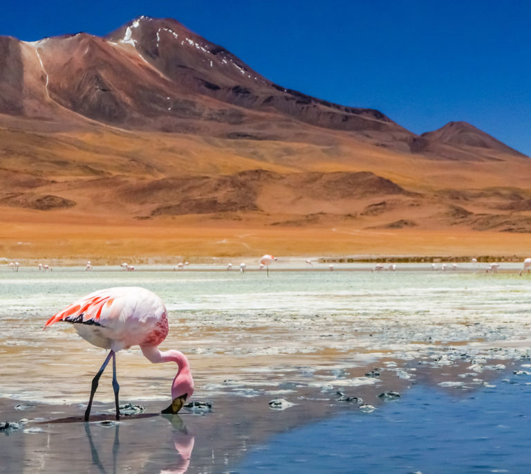 ¿Qué es el SINIA? – SINIA